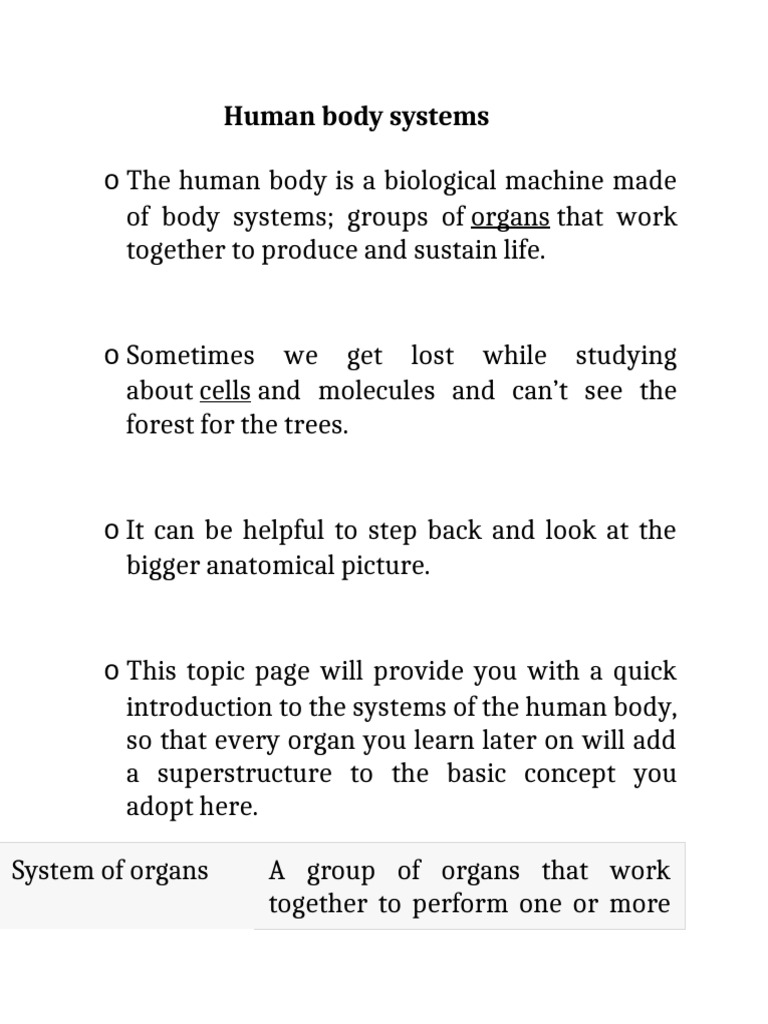 Flip The Flap Human Body | PDF