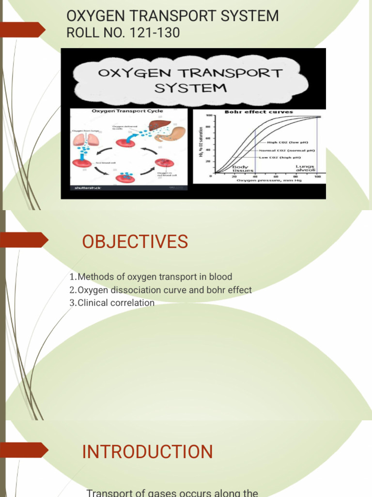 Oxygen Transport System New | PDF | Hemoglobin | Blood