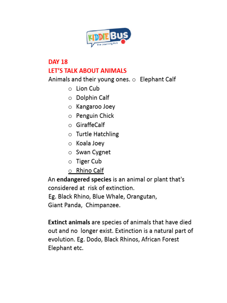 Day 18 Let's Talk About Animals | PDF