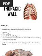 Chest Wall Anatomy and Muscles | PDF | Thorax | Thorax (Human Anatomy)