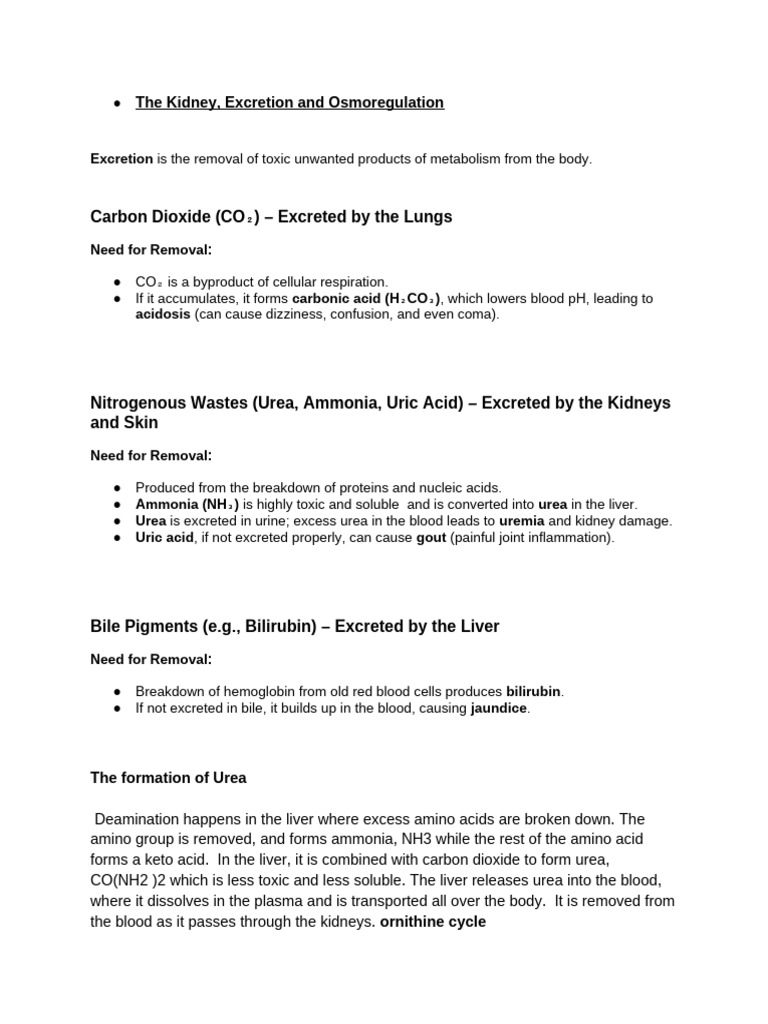 Kidney Excretion and Osmoregulation Guide | PDF | Kidney