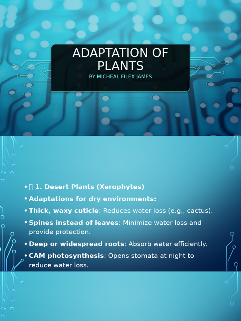 Adaptation of Plants | PDF
