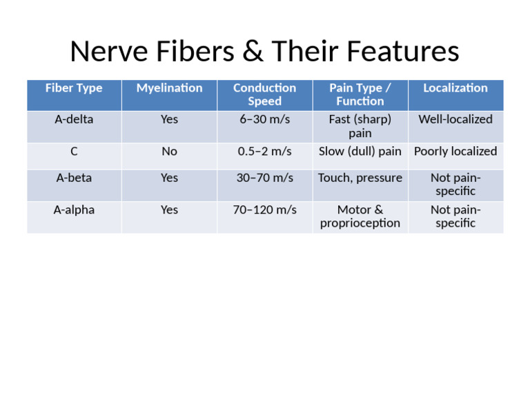 Nerve Fibers Features Table | PDF