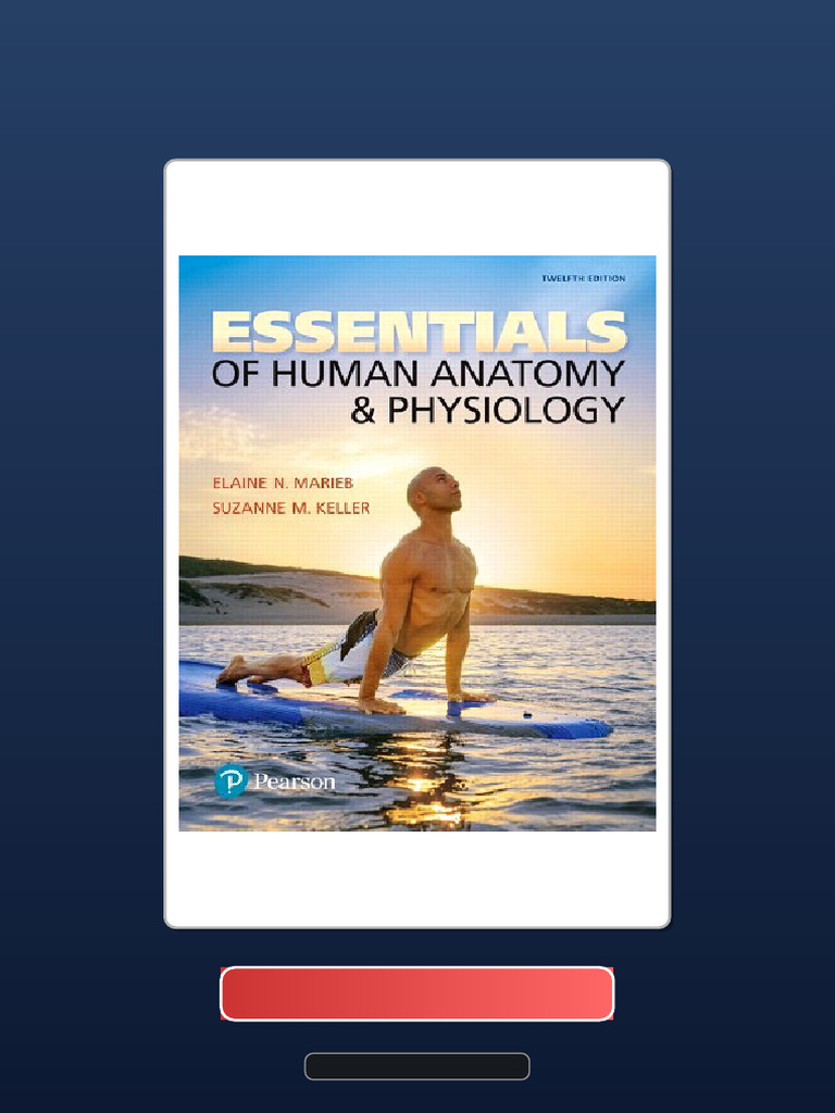 Essentials of Human Anatomy and Physiology 12th Edition Marieb Solution ...
