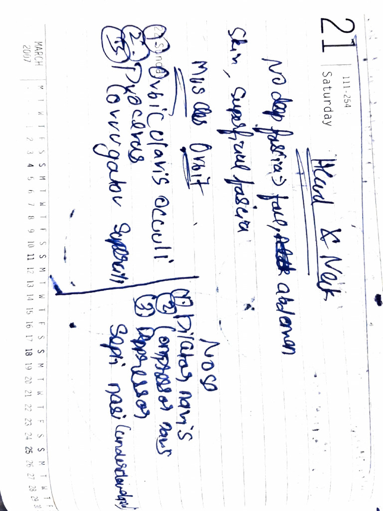 Kafeel Sir Dissection | PDF