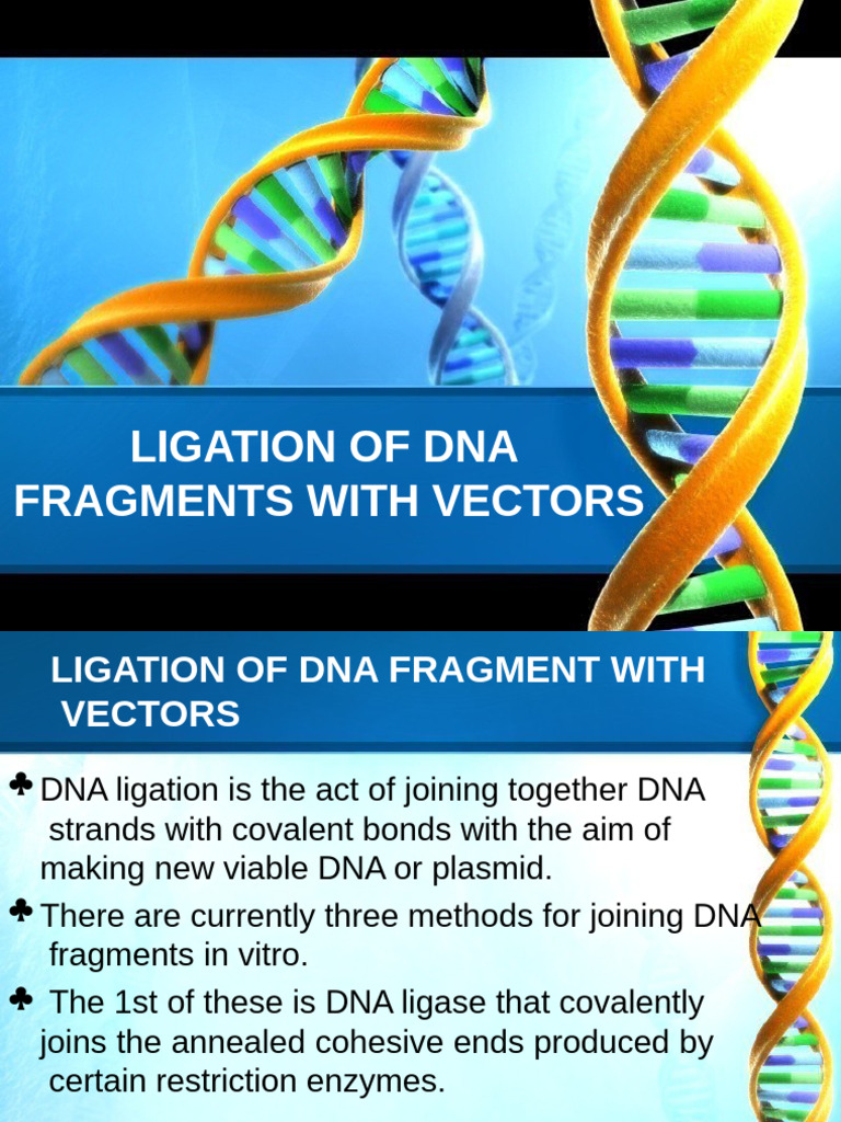 292 Ligation Methods | PDF | Dna Ligase | Dna