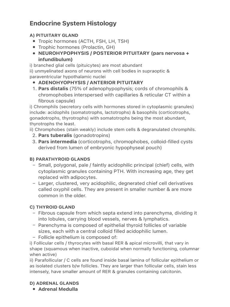 Endocrine System Histology Overview | PDF | Pituitary Gland | Pancreas