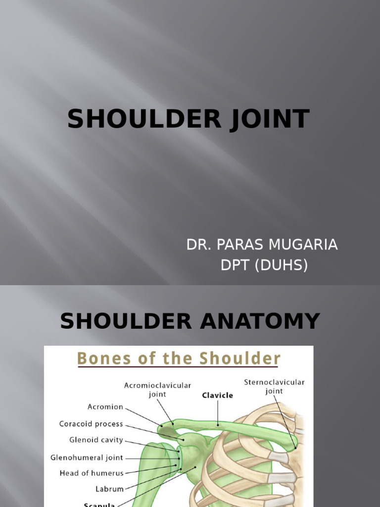 Comprehensive Shoulder Joint Anatomy | PDF | Shoulder | Limbs (Anatomy)