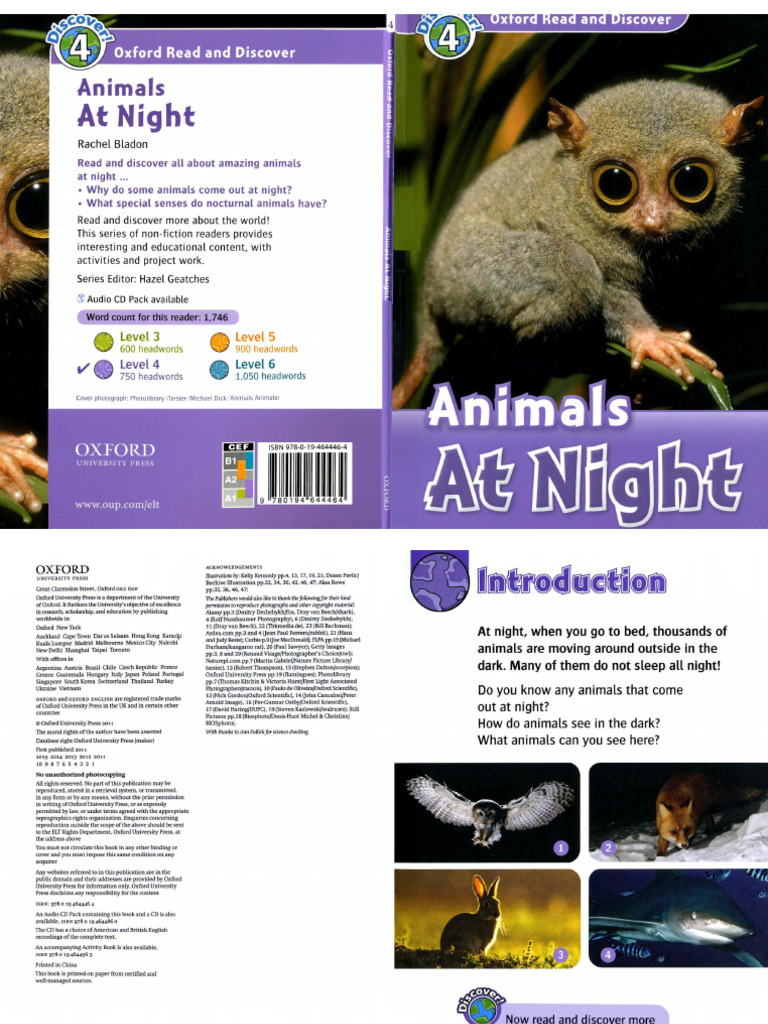 Read and Discover 4 Animals at Night | PDF