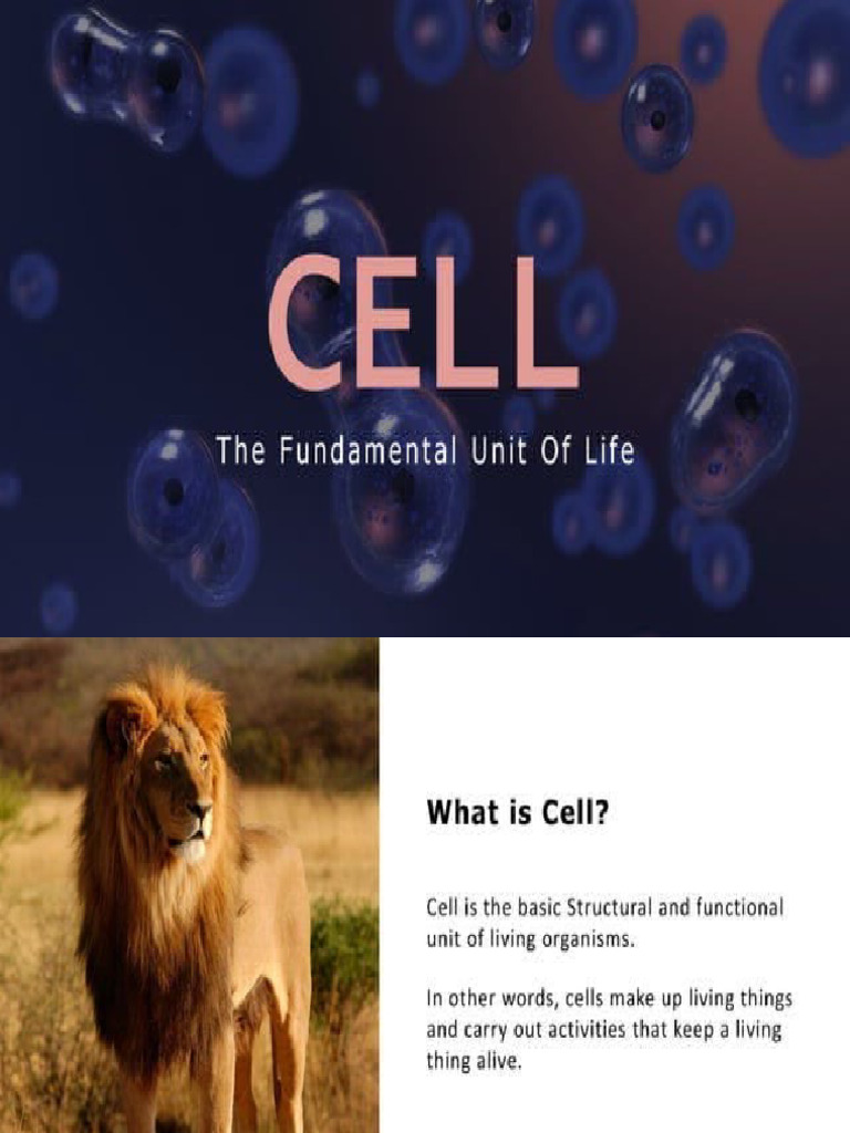 Cell Parts and Functions 2 | PDF