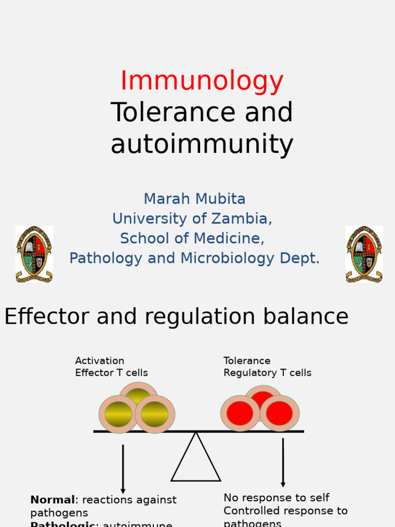 Understanding Auto Tolerance in Immunology | PDF | Immune Tolerance | T ...