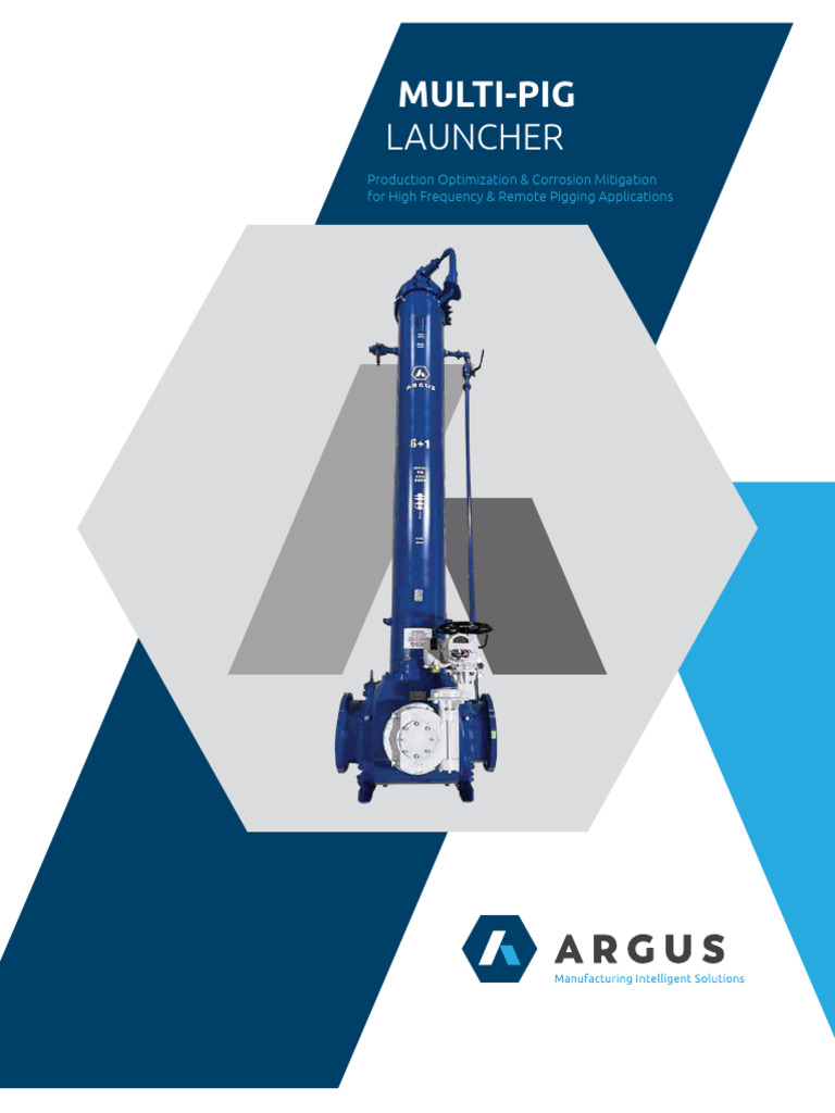 Argus Multi-Pig Launcher Overview | PDF | Valve | Pipe (Fluid Conveyance)