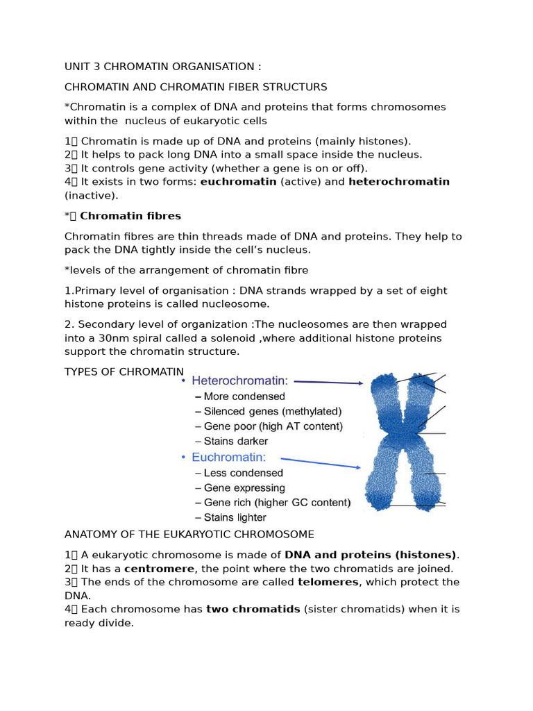 Unit 3 Chromatin Organisation | PDF | Chromosome | Chromatin