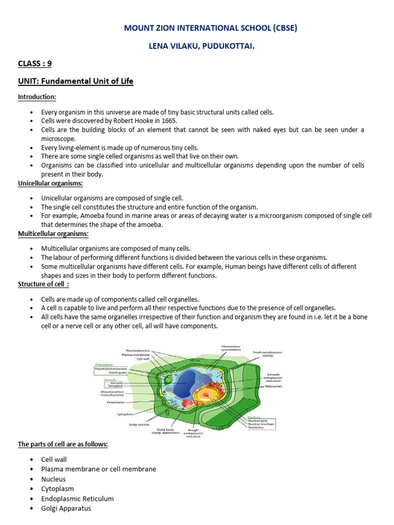 Grade 9 Class Work (Biology) | PDF | Cell (Biology) | Chloroplast