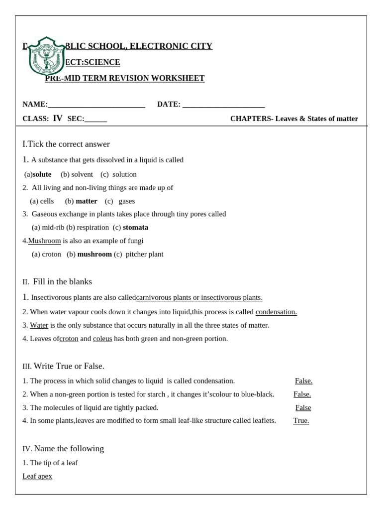 Science Grade 4 Revision Paper Leaves Answer Key | PDF | Evaporation | Leaf
