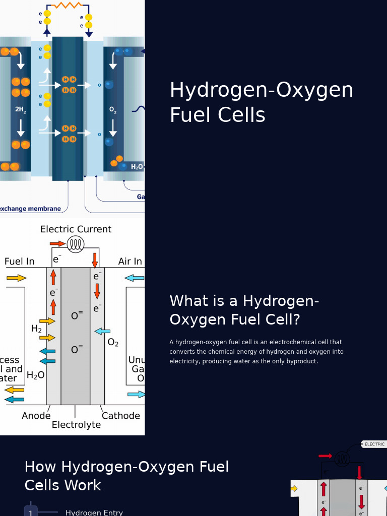 Hydrogen Oxygen Fuel Cells | PDF | Fuel Cell | Hydrogen