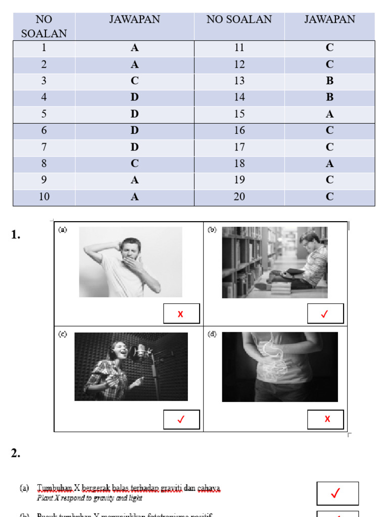 Discussion PPT t3 SC 2025 | PDF