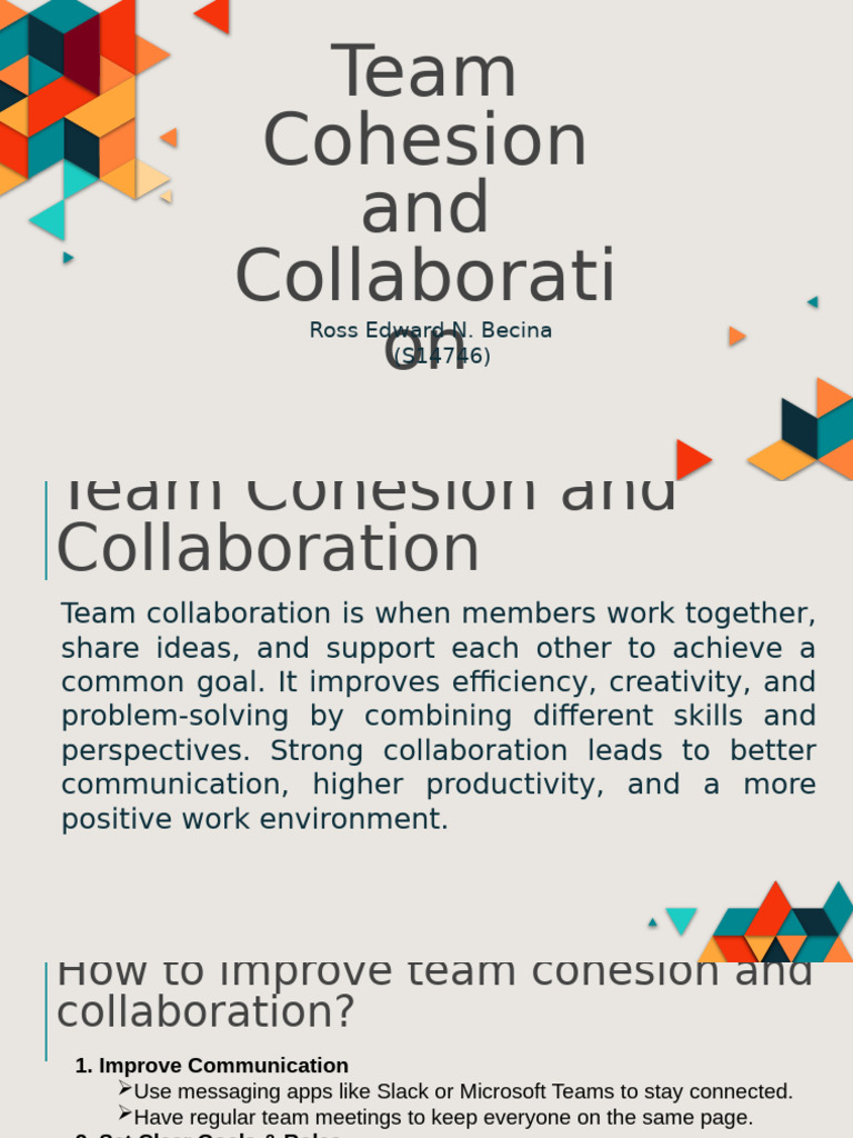 Team Cohesion and Collaboration | PDF
