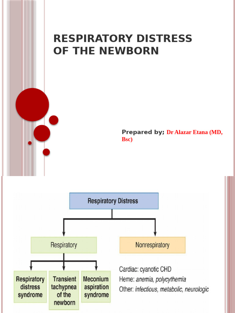 Newborn Respiratory Distress Overview | PDF | Respiratory Diseases ...
