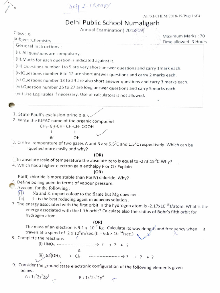 Sample Papers Annual Examination DPS XI | PDF