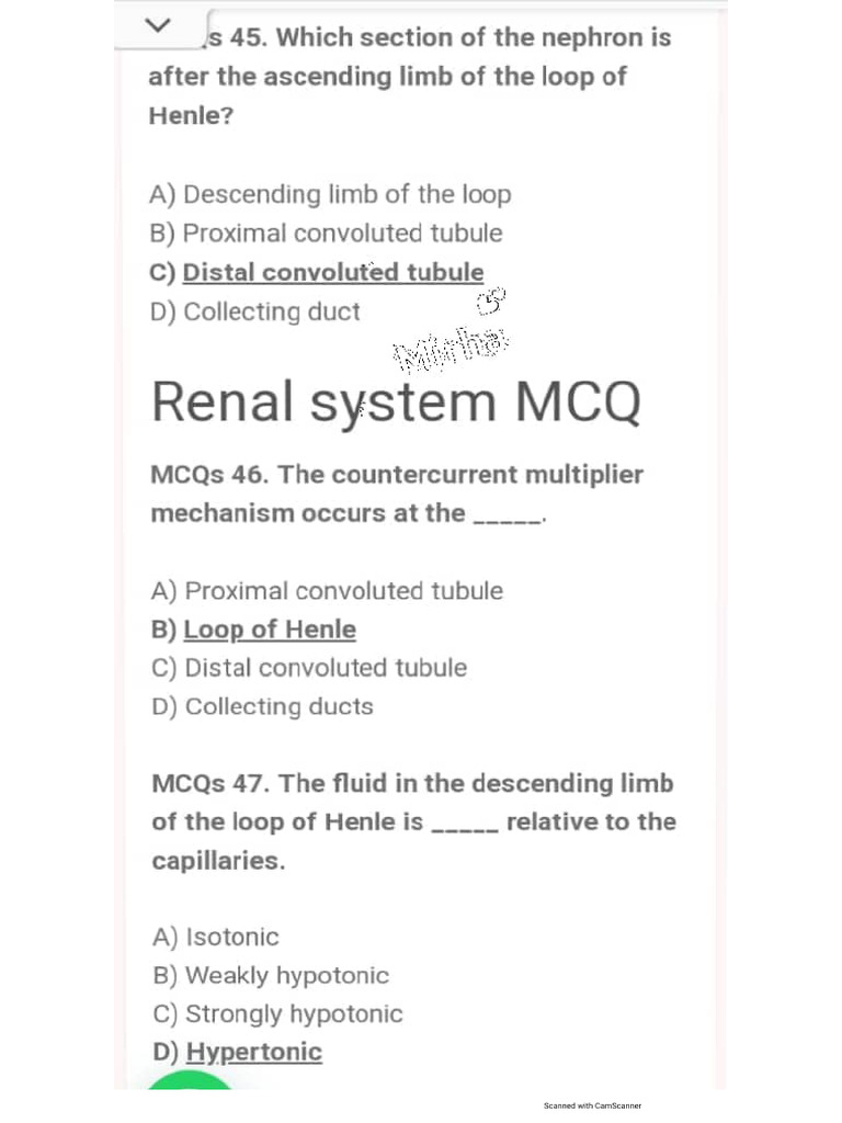 Anatomy - Urinary System Mcqs | PDF