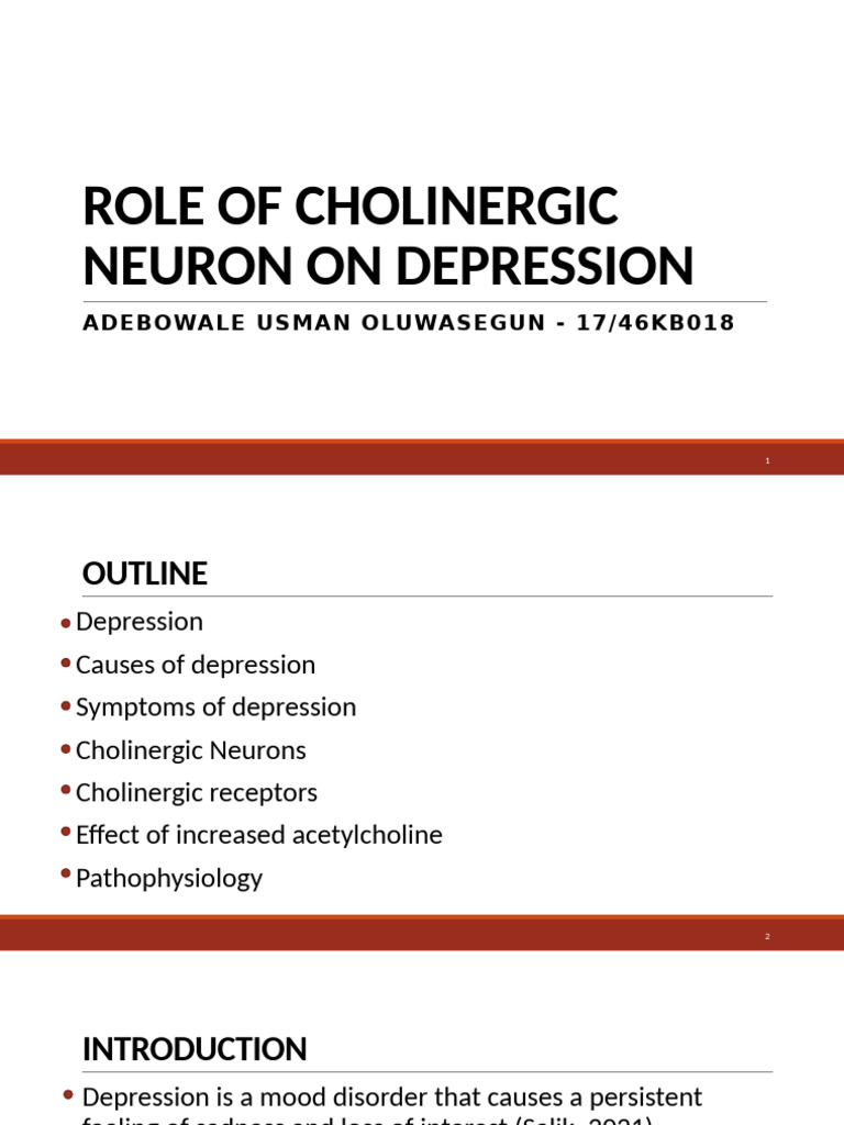 Cholinergic Neurons and Depression Effects | PDF | Acetylcholine ...