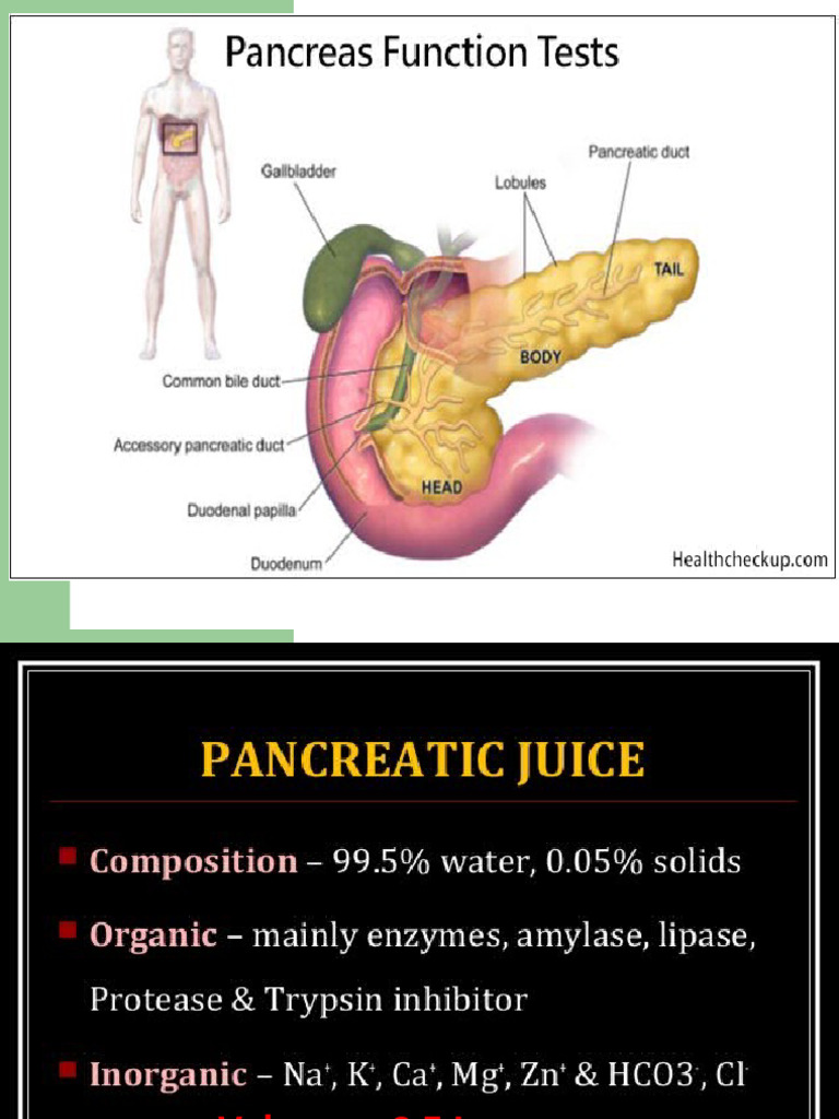Pancreatic Function Testing Overview | PDF | Pancreas | Digestive System