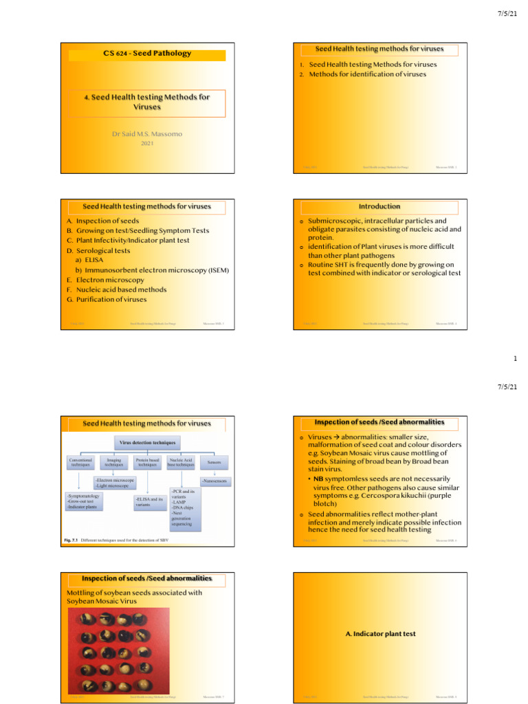 CS 624 Lect 6. Seed Health Testing Methods For Viruses | PDF ...