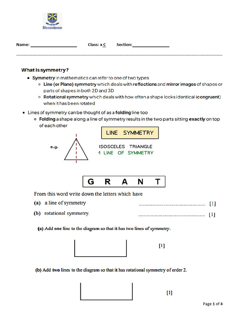 Symmetry Worksheet 4024 (2D Shapes) | PDF