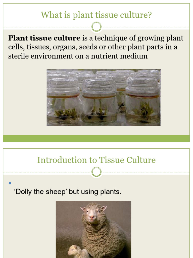 F-5 - Plant Tissue Culture | PDF | Life Sciences | Developmental Biology