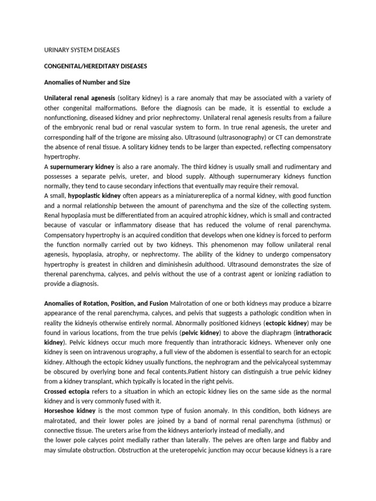 Urinary System Diseases | PDF | Heart | Ventricle (Heart)