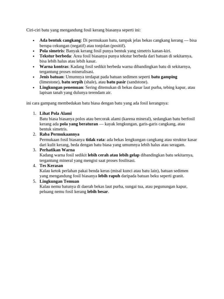 Ciri Batu Yang Mengandung Fosil Kerang | PDF