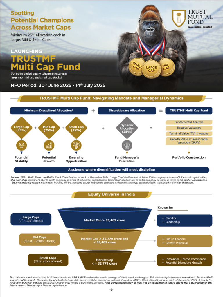 TRUSTMF Multi Cap Fund Overview | PDF | Valuation (Finance) | Investing
