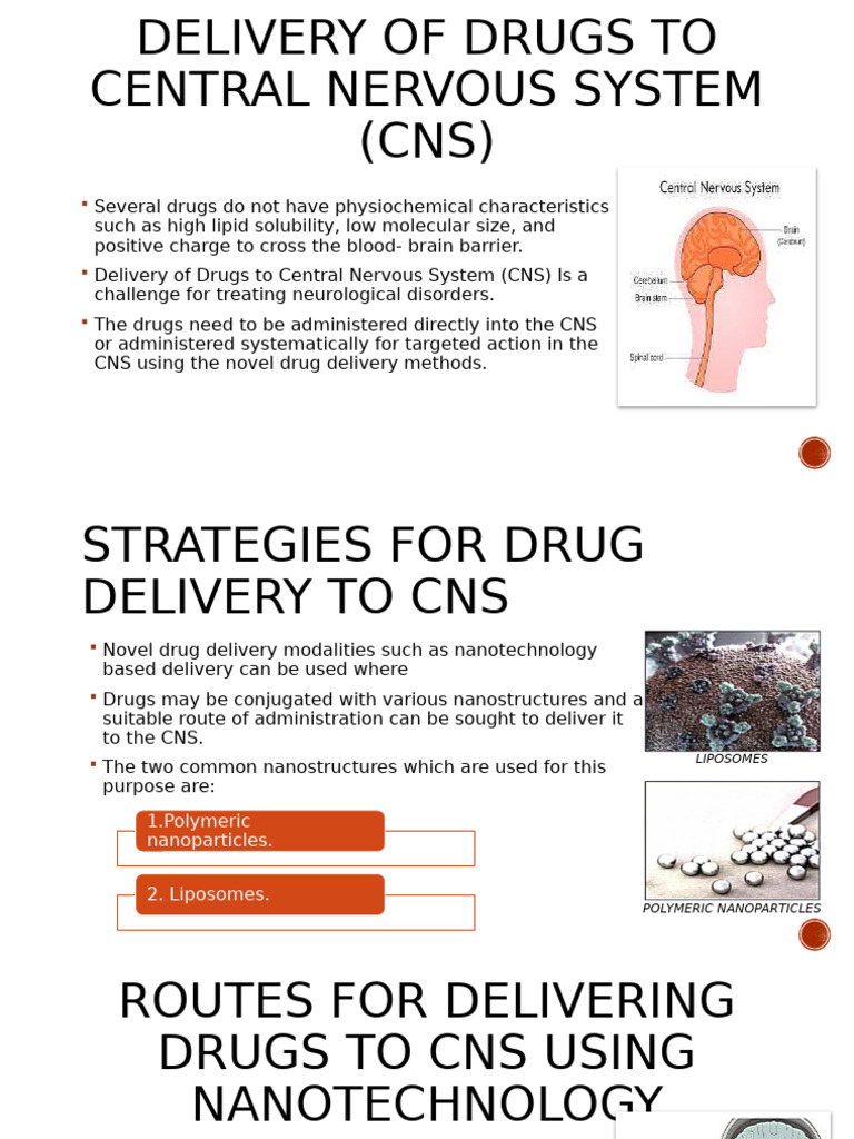 Delivery of Drugs To Central Nervous System | PDF