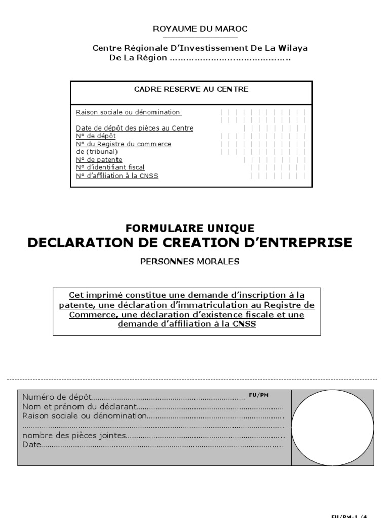 223 - Formulaire Unique - Cas de Personne Morale | PDF