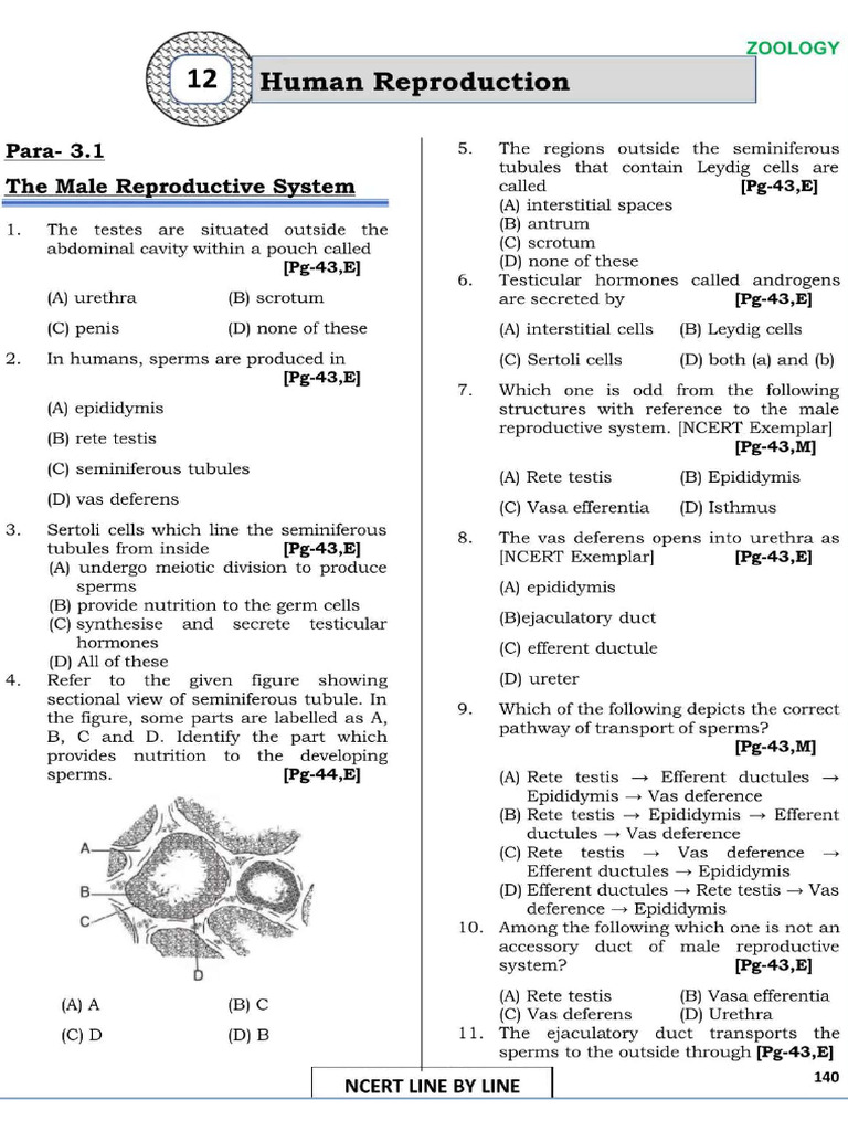 Human Reproduction | PDF