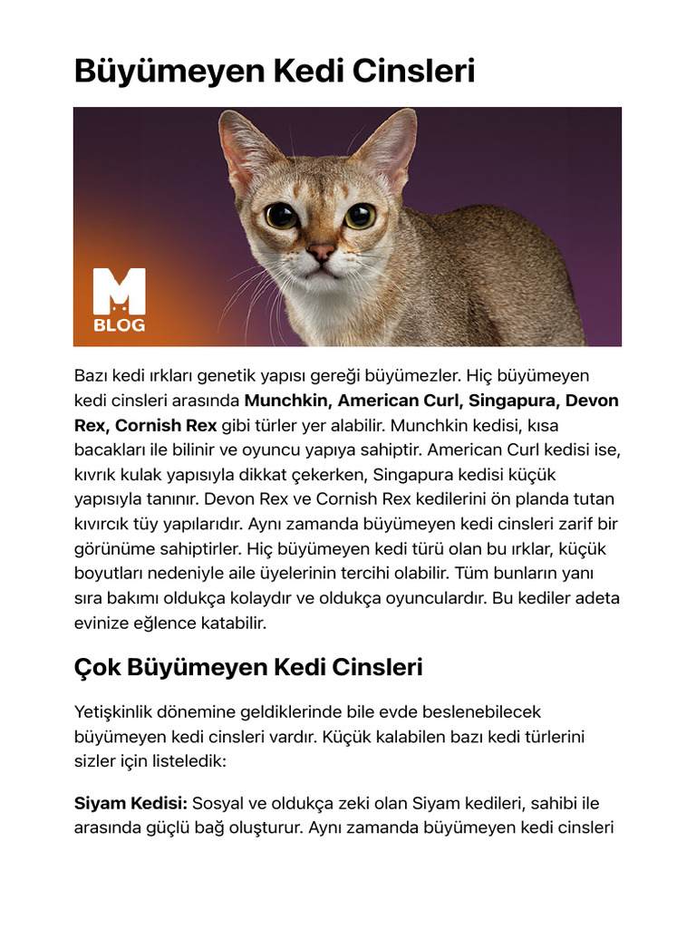 Büyümeyen Kedi Cinsleri Nelerdir? | PDF