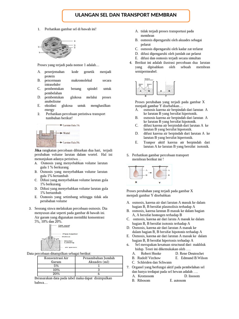 Proses Transport dan Struktur Sel | PDF