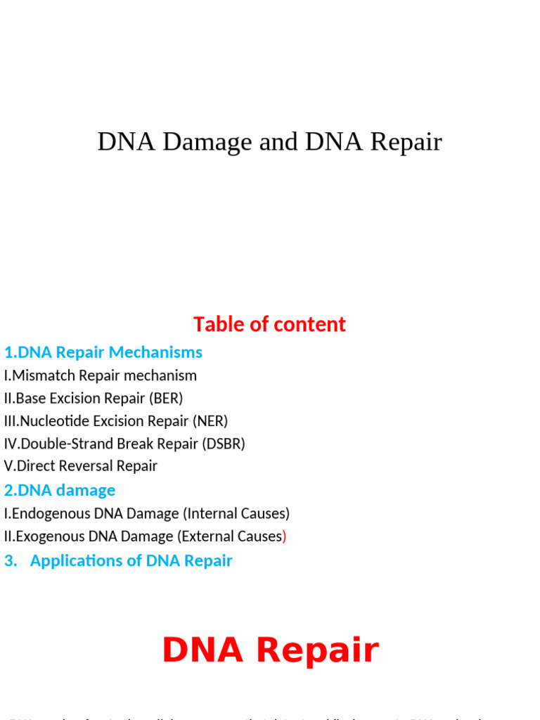 DNA Damage and Repair Mechanisms | PDF | Dna Repair | Dna