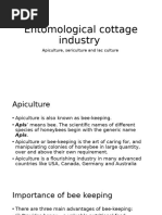 Homology and Analogy in Organisms | PDF | Homology (Biology ...