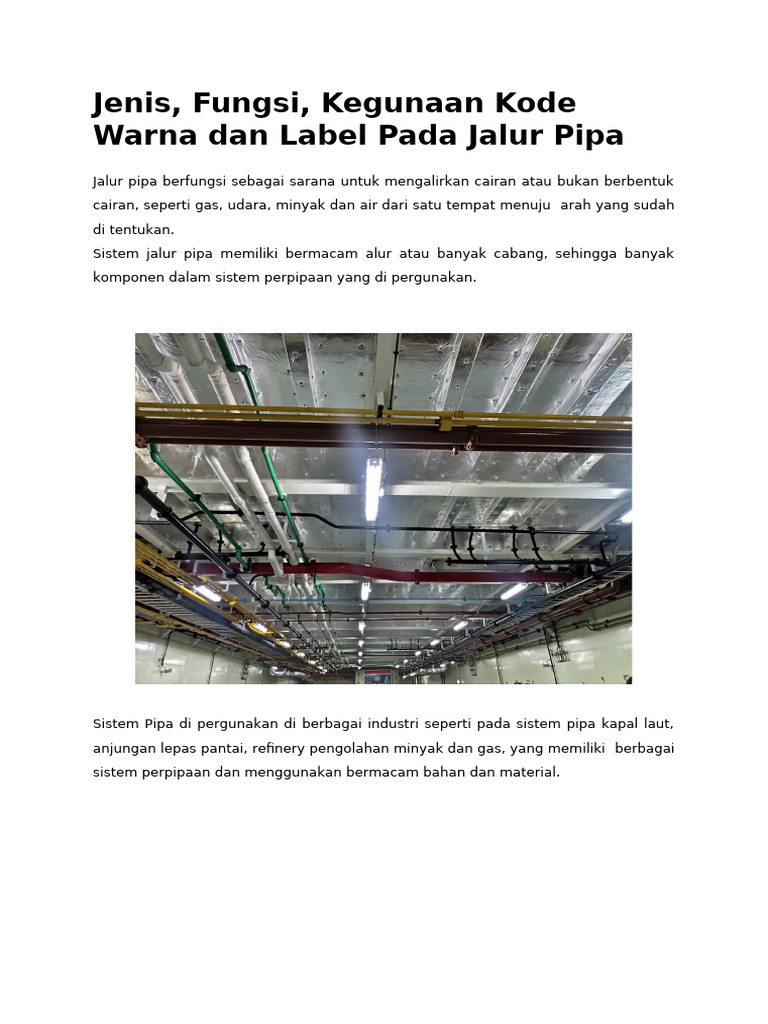Pipa | PDF