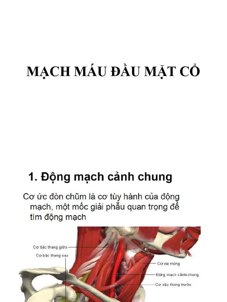 Mach Mau Dau Mat Co | PDF