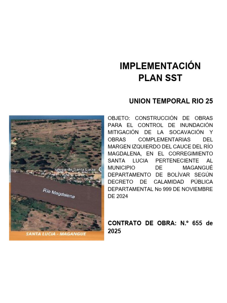 Plan SST | PDF | Seguridad y salud ocupacional | Alergia