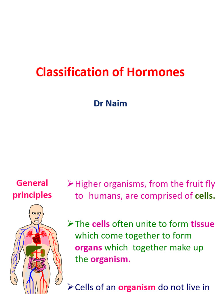 Hormone Classification Overview | PDF | Hormone | Hypothalamus