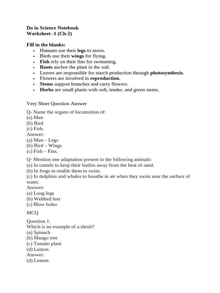 Class 6 Worksheet | PDF | Leaf | Magnet