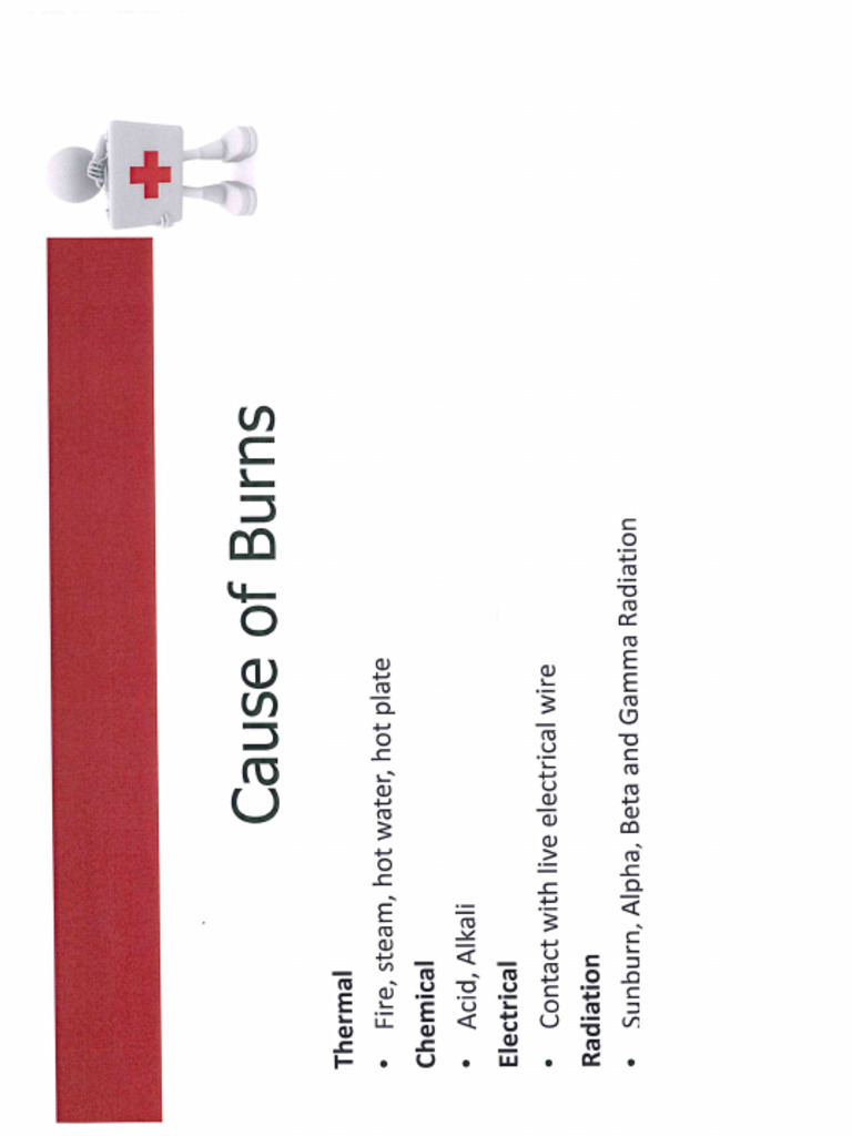 Burns | PDF