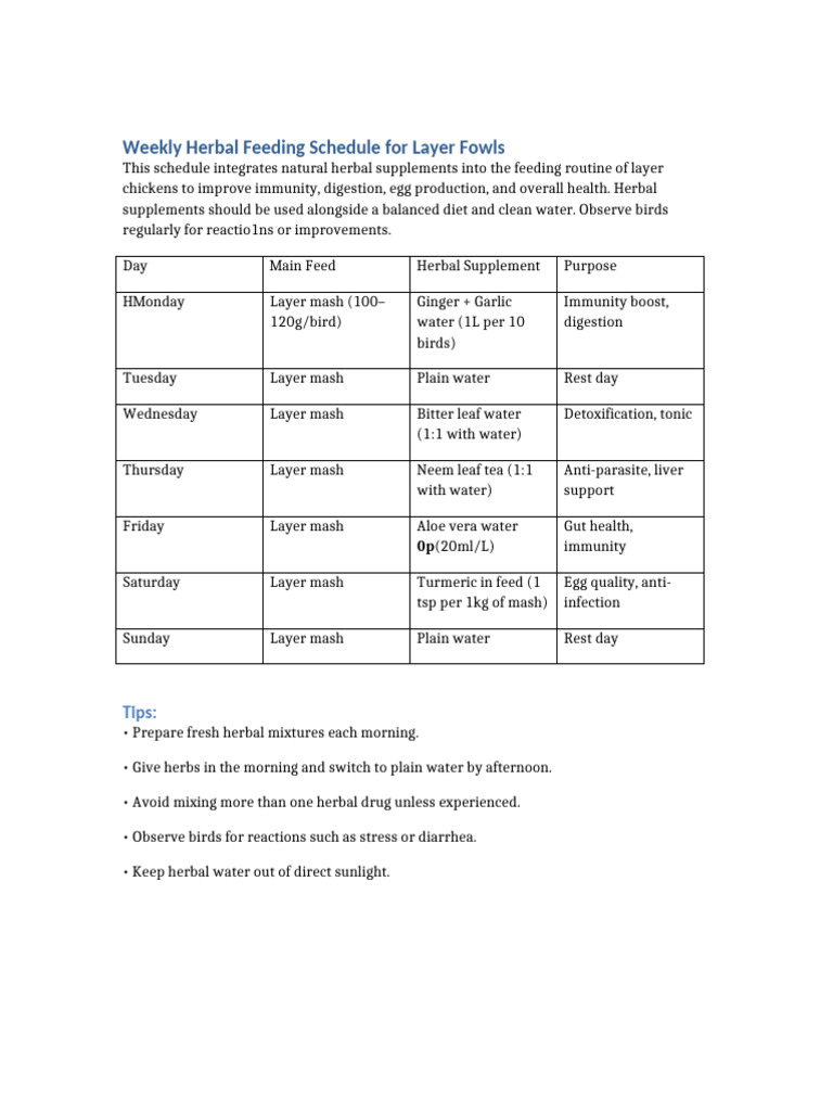 Herbal Feeding Schedule for Layers | PDF