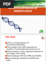 NCERT - Molecular Basis of Inheritance | PDF | Operon | Translation (Biology)