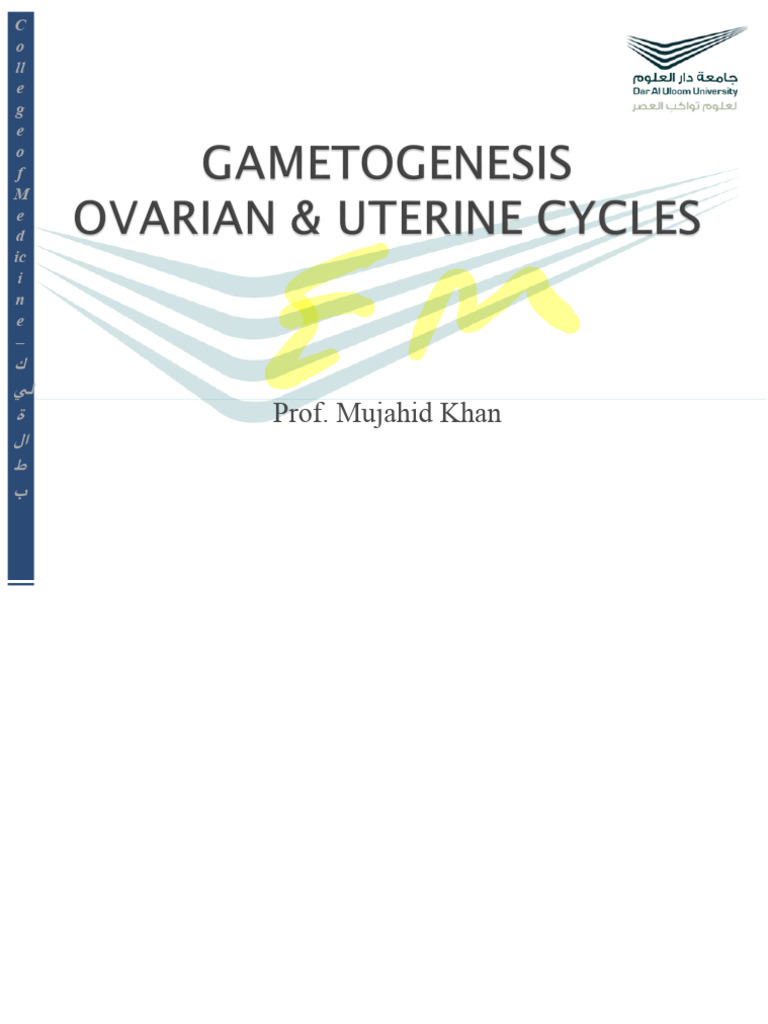 Gametogenesis, Ovarian & Uterine Cycles | PDF | Menstrual Cycle ...