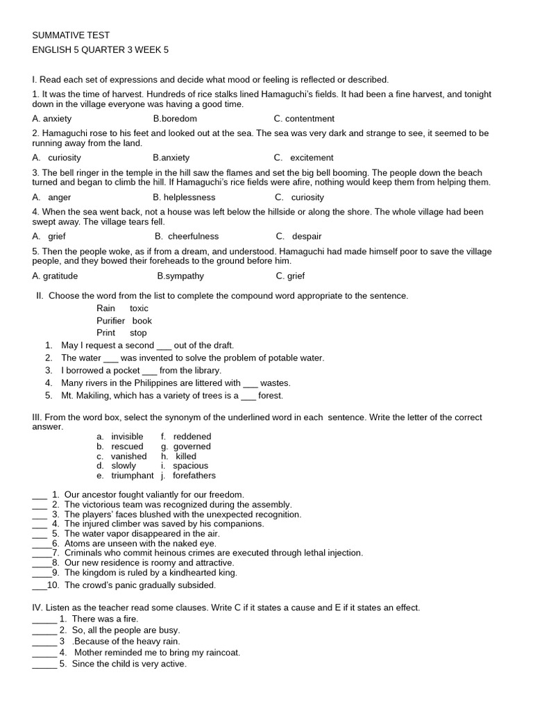 English 5 Summative Test: Mood & Vocabulary | PDF